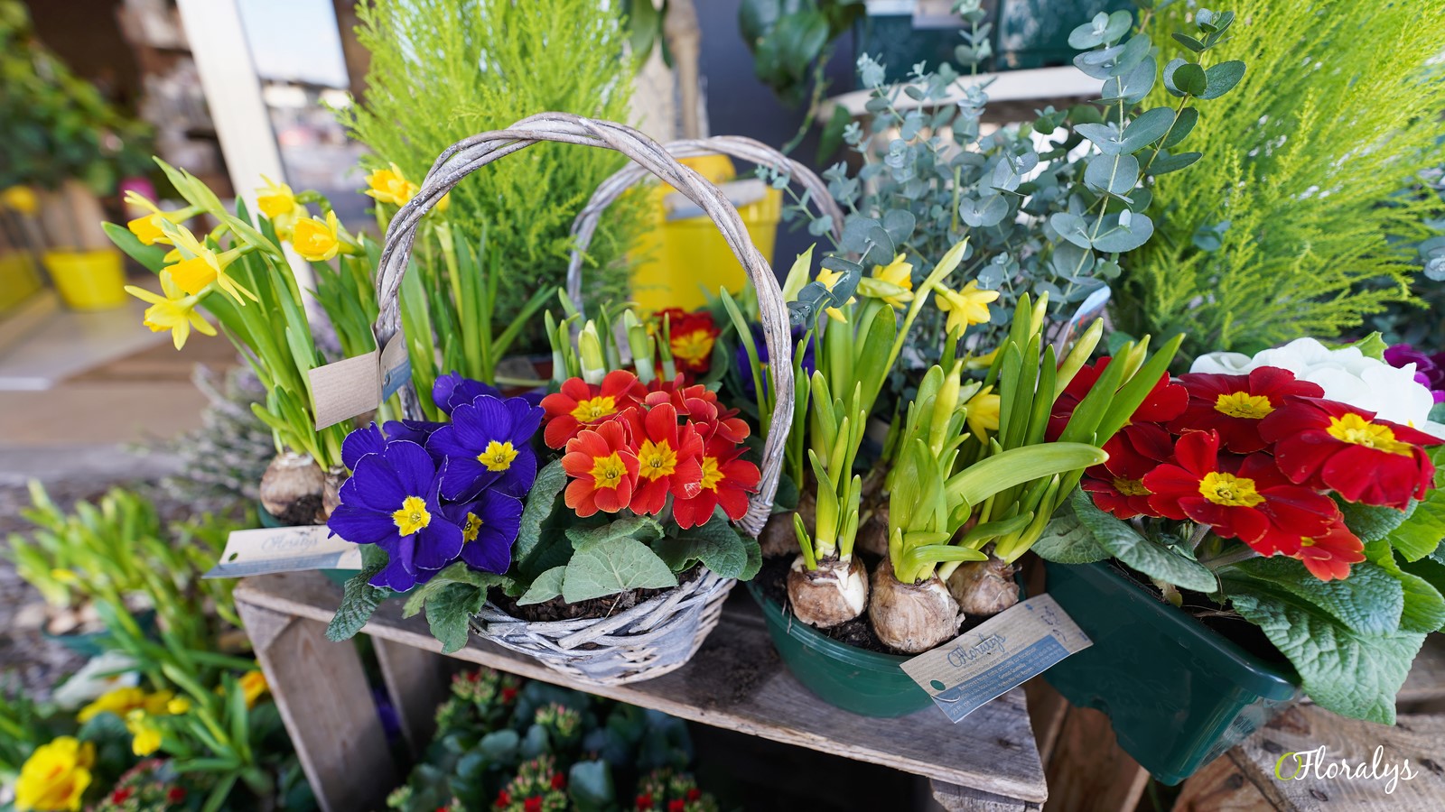 OFloralys Artisan fleuriste Rouen